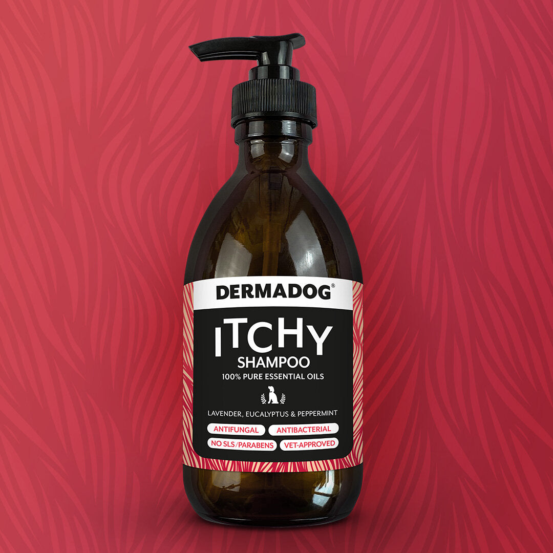 ITCHY SHAMPOO – HOUND AND HOWL